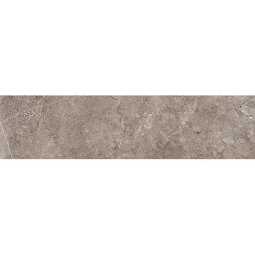The Tile Store Inc