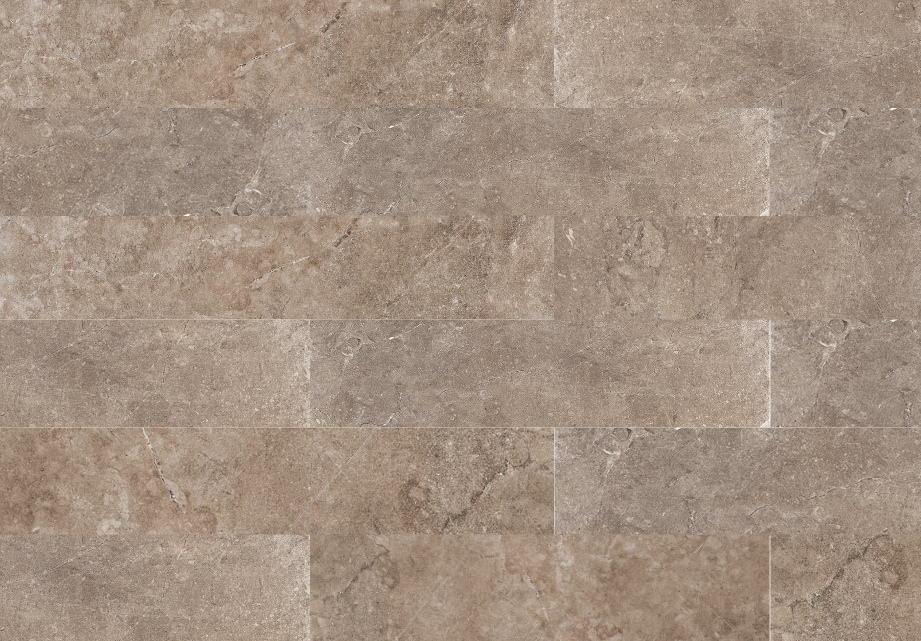 The Tile Store Inc